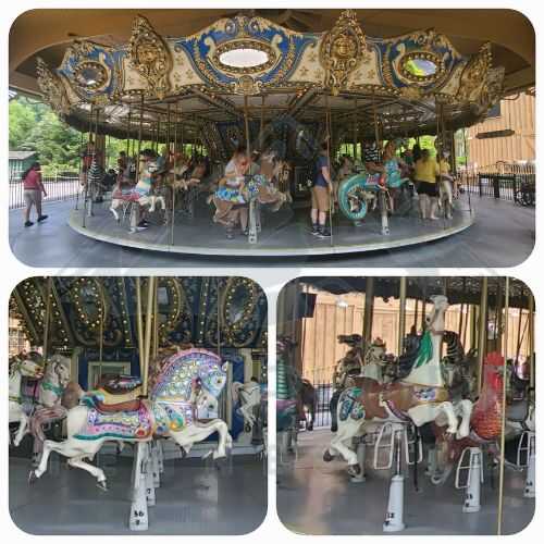 Dollywood's Rides - Every Type Listed! - Complete Guide.