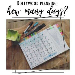 Learn How To Skip Dollywood's long Lines!