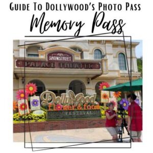 Dollywood Rentals Guide: ECV-Scooter, Strollers & wheelchair