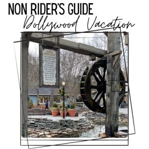 Dollywood Rentals Guide: ECV-Scooter, Strollers & wheelchair